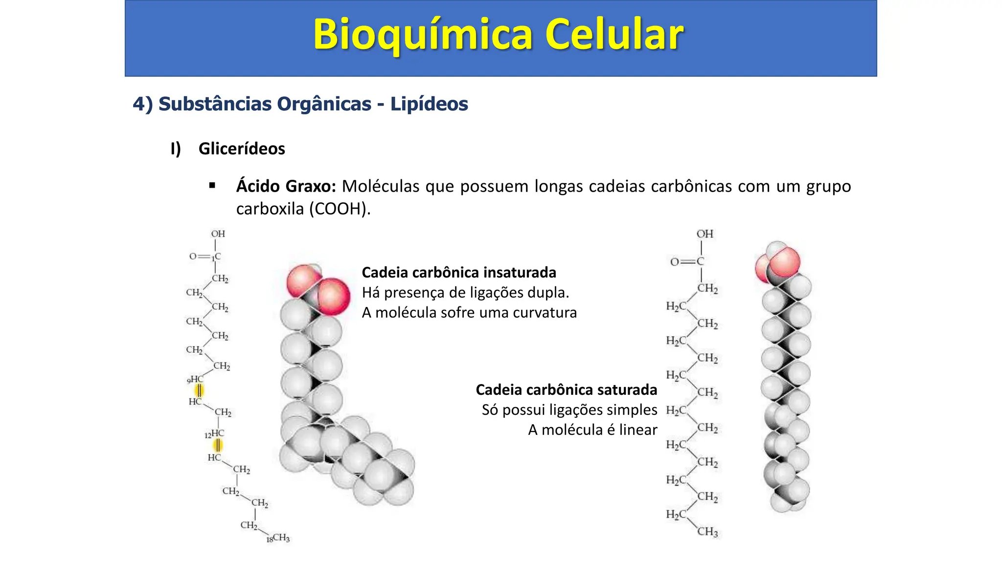 BIOQUIMICA CELULAR .pptx | Chemistry | Science
