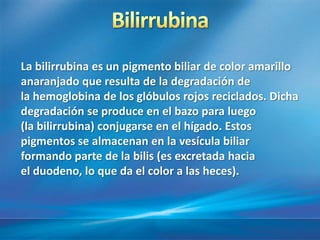 Bilirrubina | PPTX
