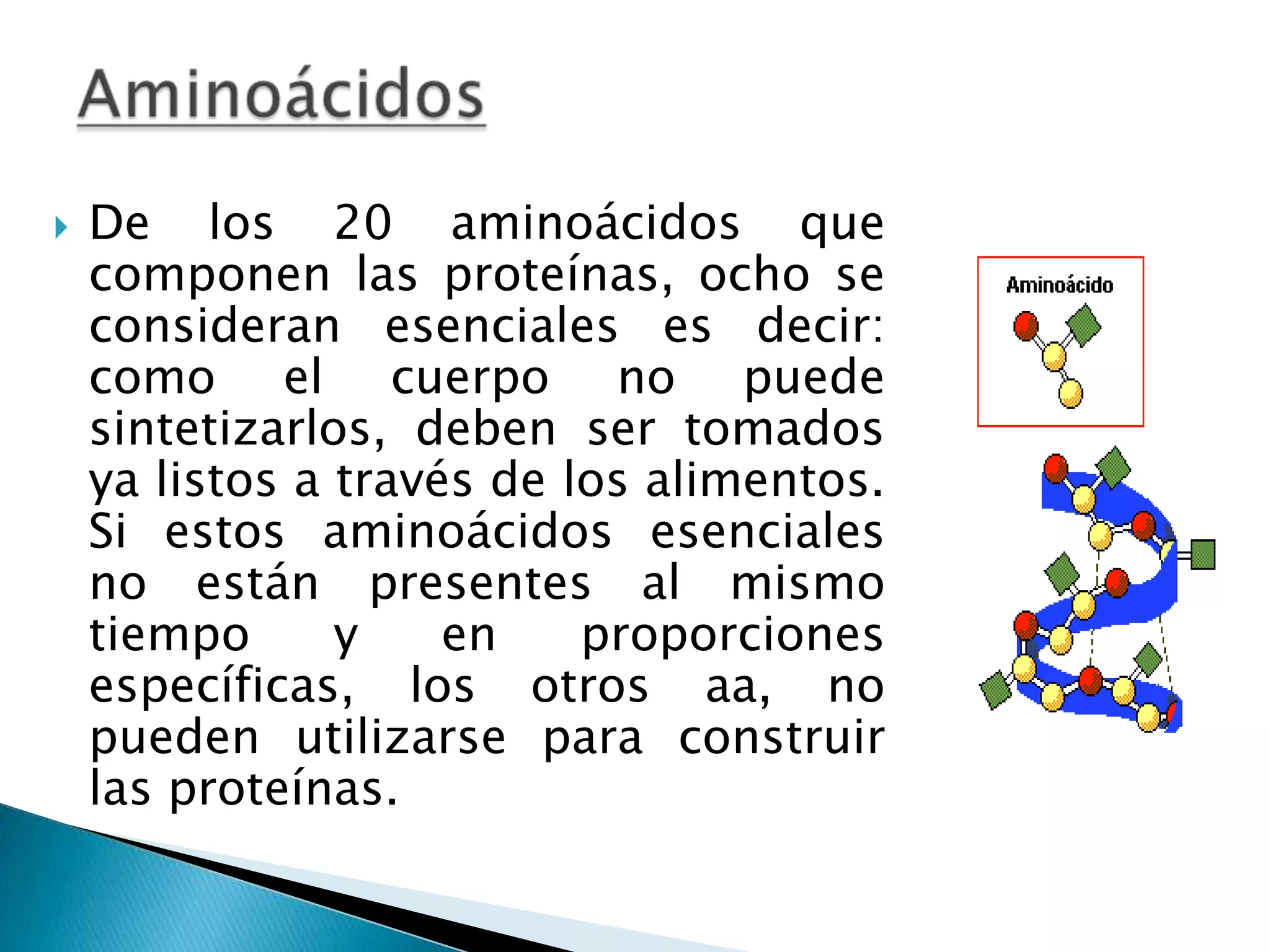 Bioquimica de las proteinas y aminoacido (bioq. i) | PPTX