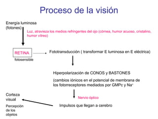 Bioquimica de la vision | PPT