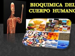 Bioquimica del cuerpo humano | PPTX