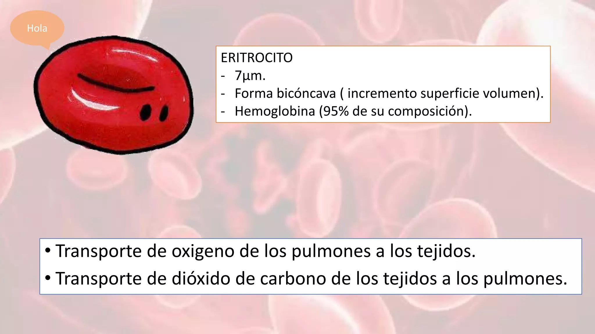 Bioquimica del eritrocito | PPTX