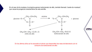 Bioquimica de los alimentos Sesion 05 (EPIIA-UNAJ).pdf