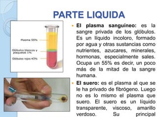Bioquimica en la sangre | PPTX