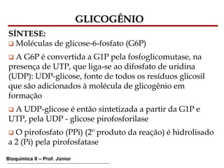 Bioquimica II - Glicogênio - Glicogênese e Glicogenólise.pdf