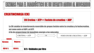 Bioquimica infarto | PPTX