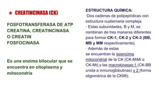 Bioquimica infarto | PPTX