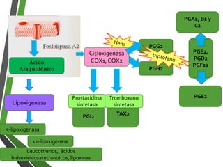 ciclooxigenasa y lipooxigenasa | PPTX