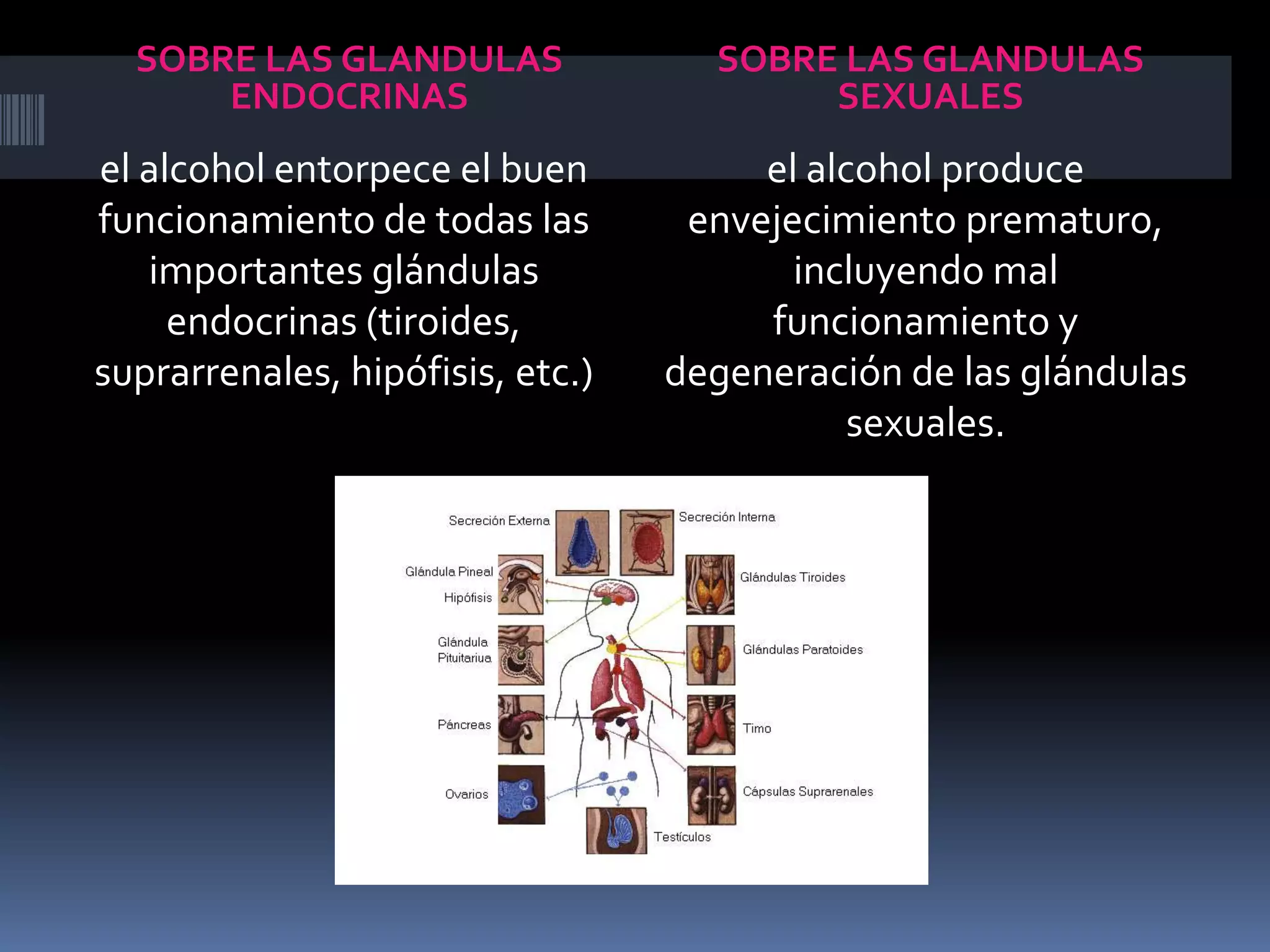 Bioquimicamente el alcohol en nuestro organismo | PPT