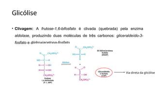 Bioquímica-glicolise_glicolise Aula 3.pptx