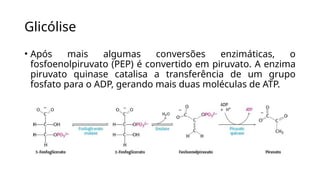Bioquímica-glicolise_glicolise Aula 3.pptx