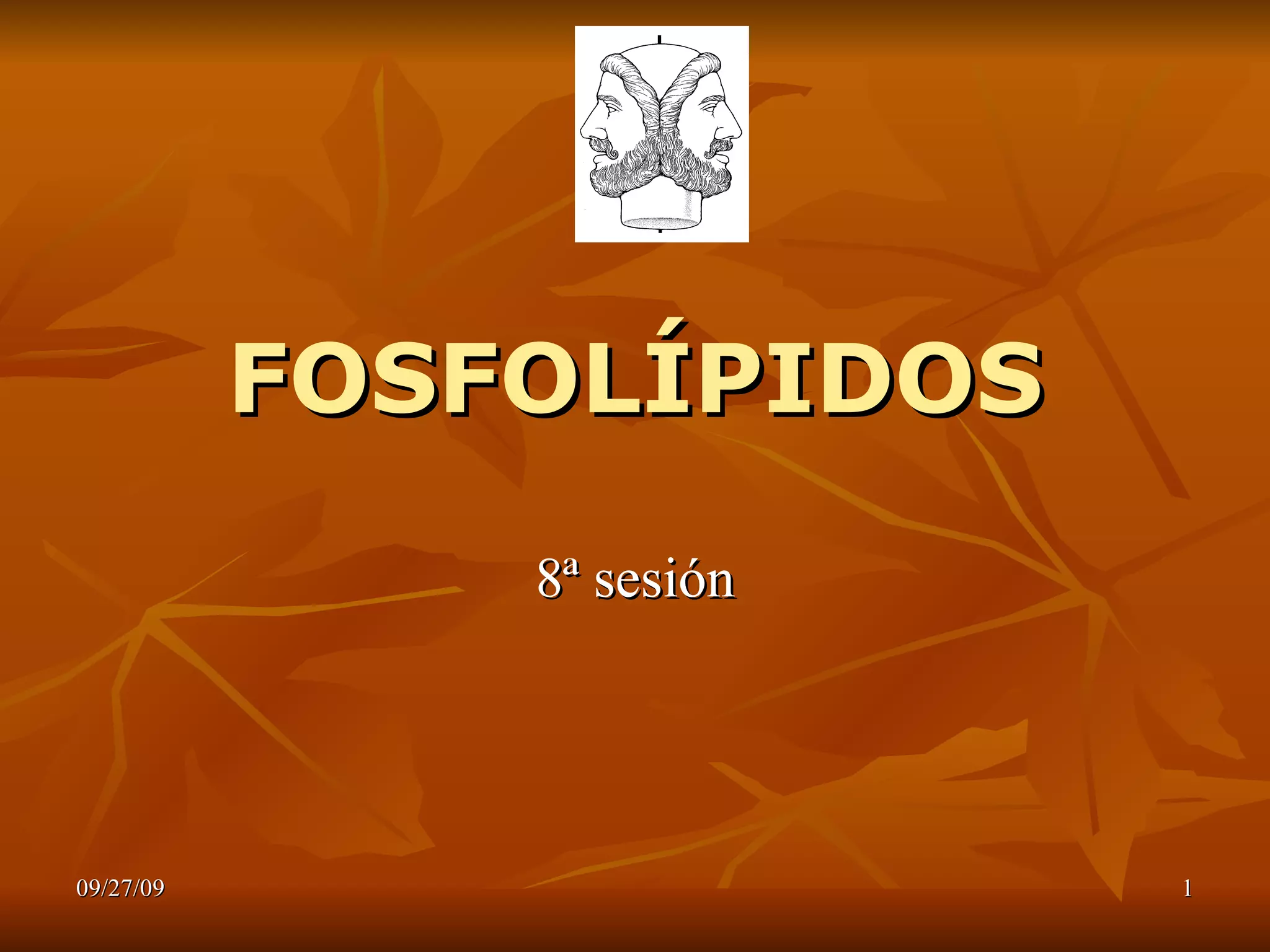 FOSFOGLICERIDOS (fosfolipidos) | PPT