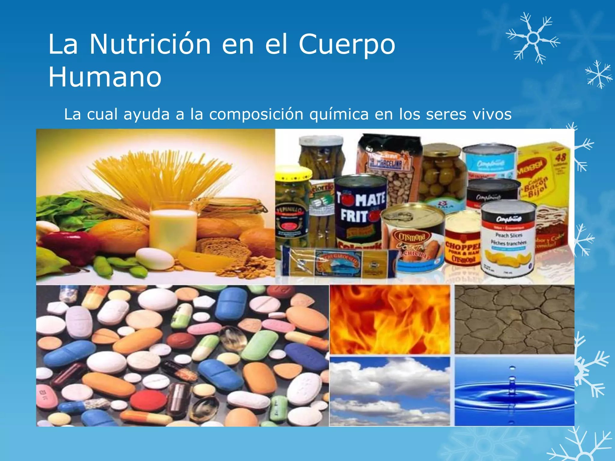 Bioquímica del cuerpo humano | PPTX
