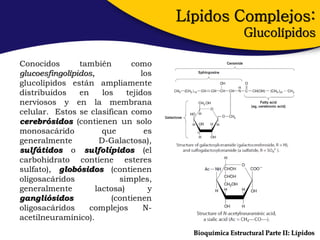 Bioquímica estructural parte ii lípidos | PDF
