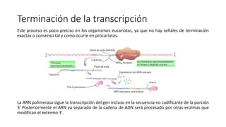 Transcripcion | PPTX