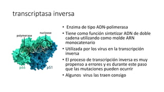 Transcripcion | PPTX