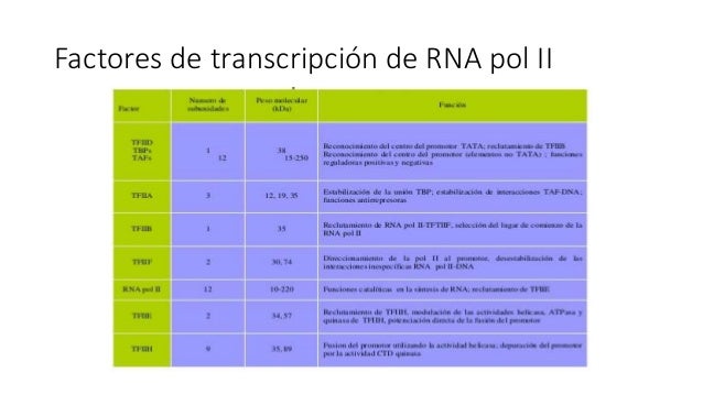 Transcripcion