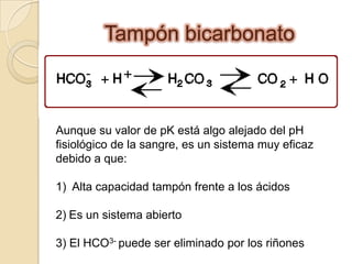 Bioquímica grupo 12 | PPTX