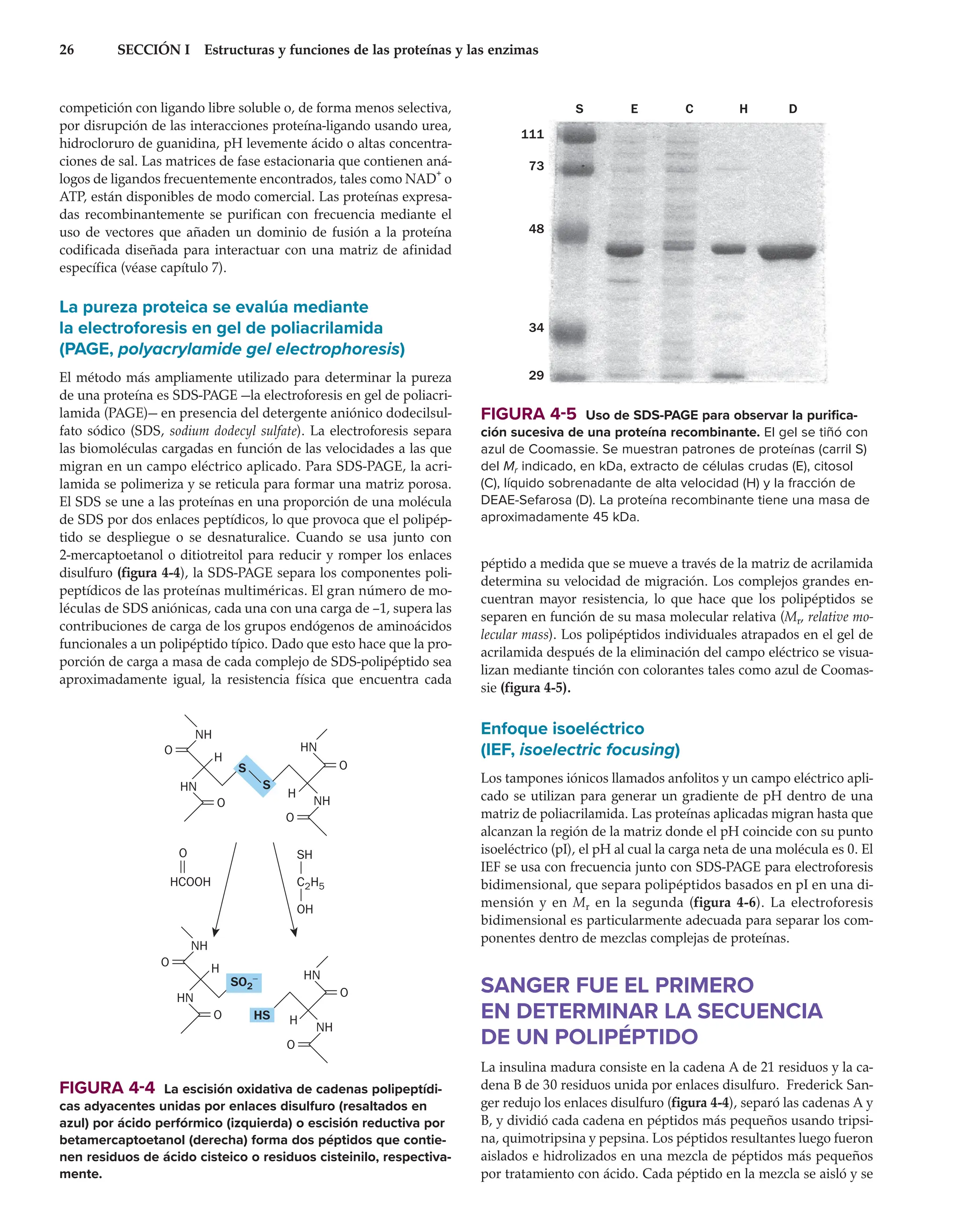 Bioquímica Ilustrada Harper 31 Ed Pdf