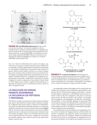 Bioquímica ilustrada - Harper 31 ed.pdf
