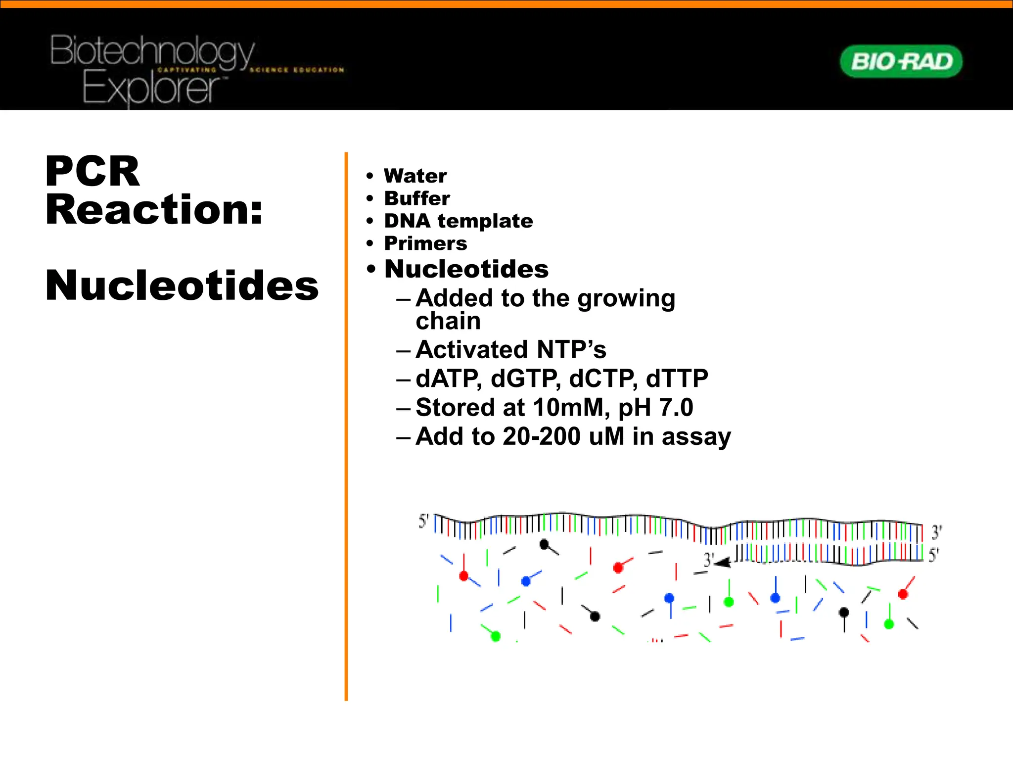 BioRad A_Brief_History_of_Polymerase Chain Reaction.ppt