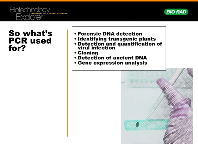BioRad A_Brief_History_of_Polymerase Chain Reaction.ppt
