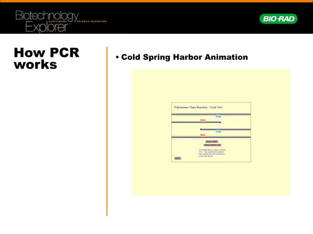BioRad A_Brief_History_of_Polymerase Chain Reaction.ppt