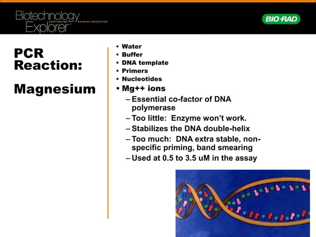 BioRad A_Brief_History_of_Polymerase Chain Reaction.ppt