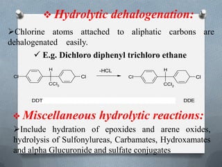 Bioransformation ( Biopharmaceutics ) | PPT