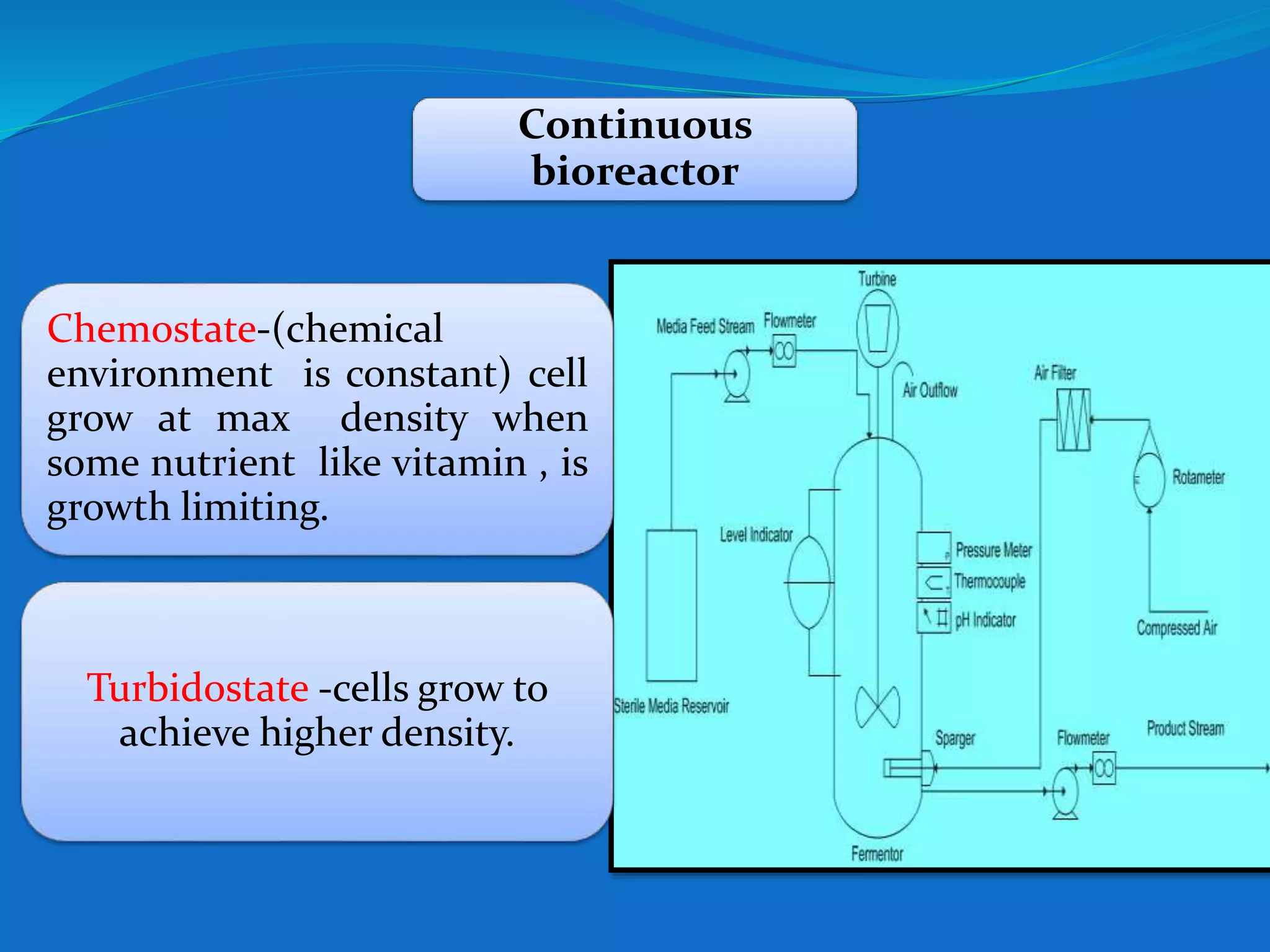 Bioreactor