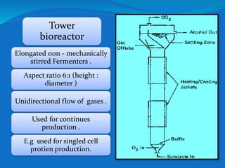 Bioreactor | PPT