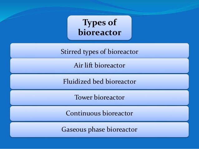 Bioreactor
