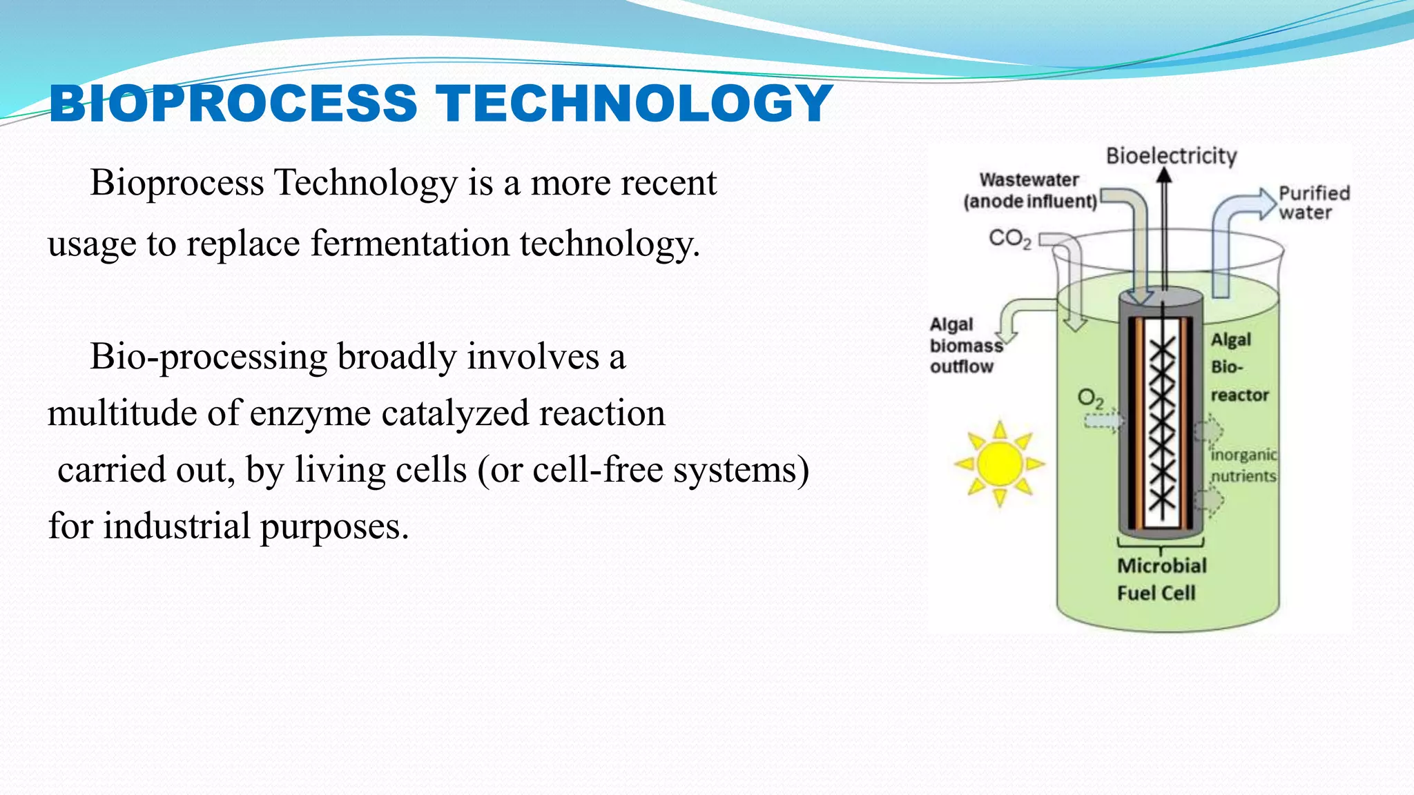 Bioreactor | PPTX