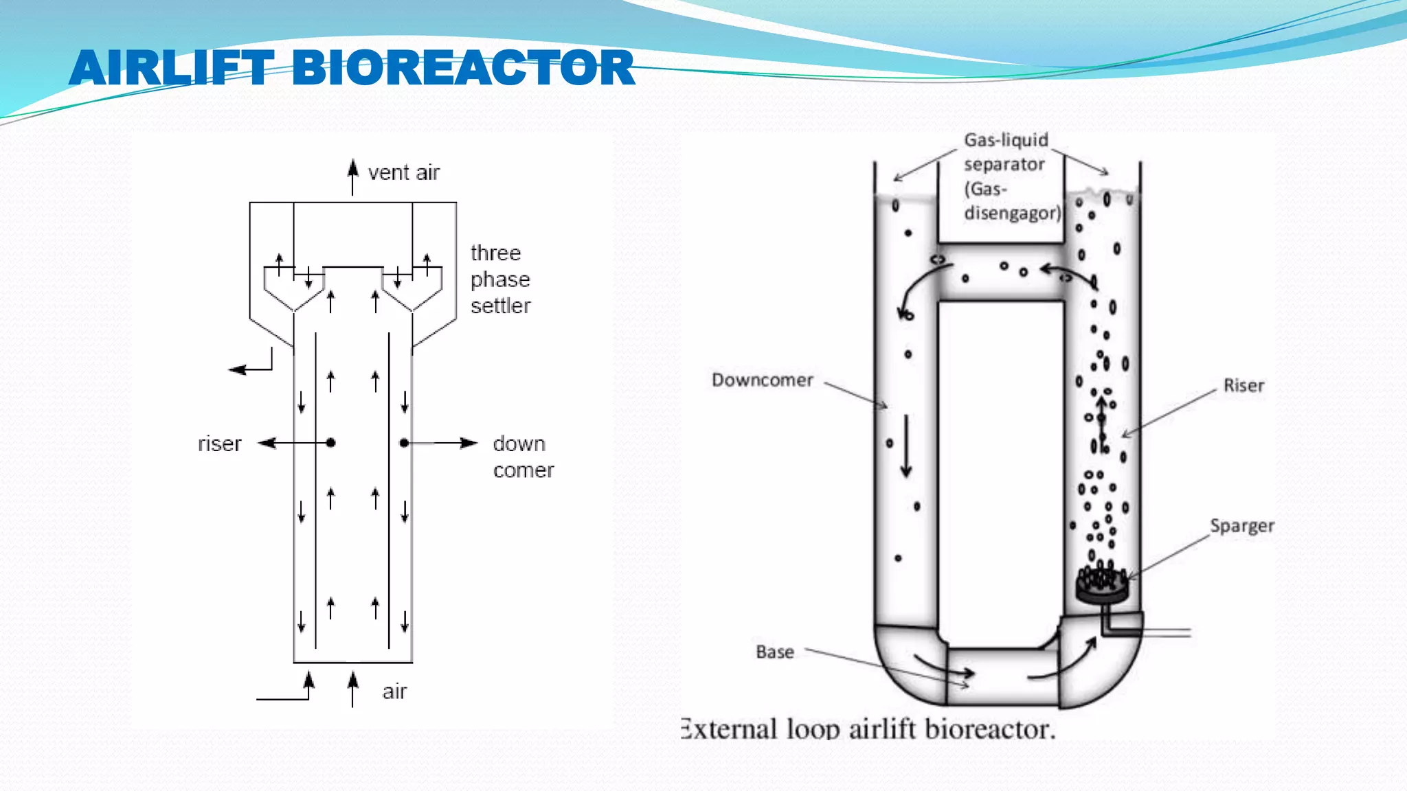 Bioreactor | PPTX