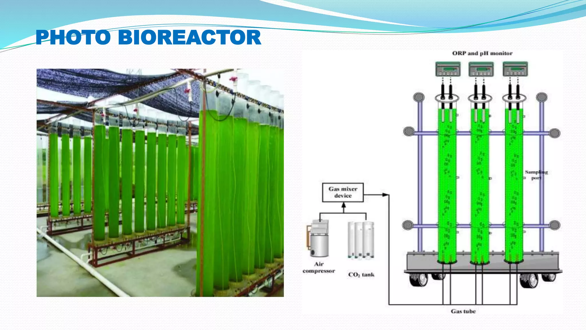 Bioreactor | PPTX