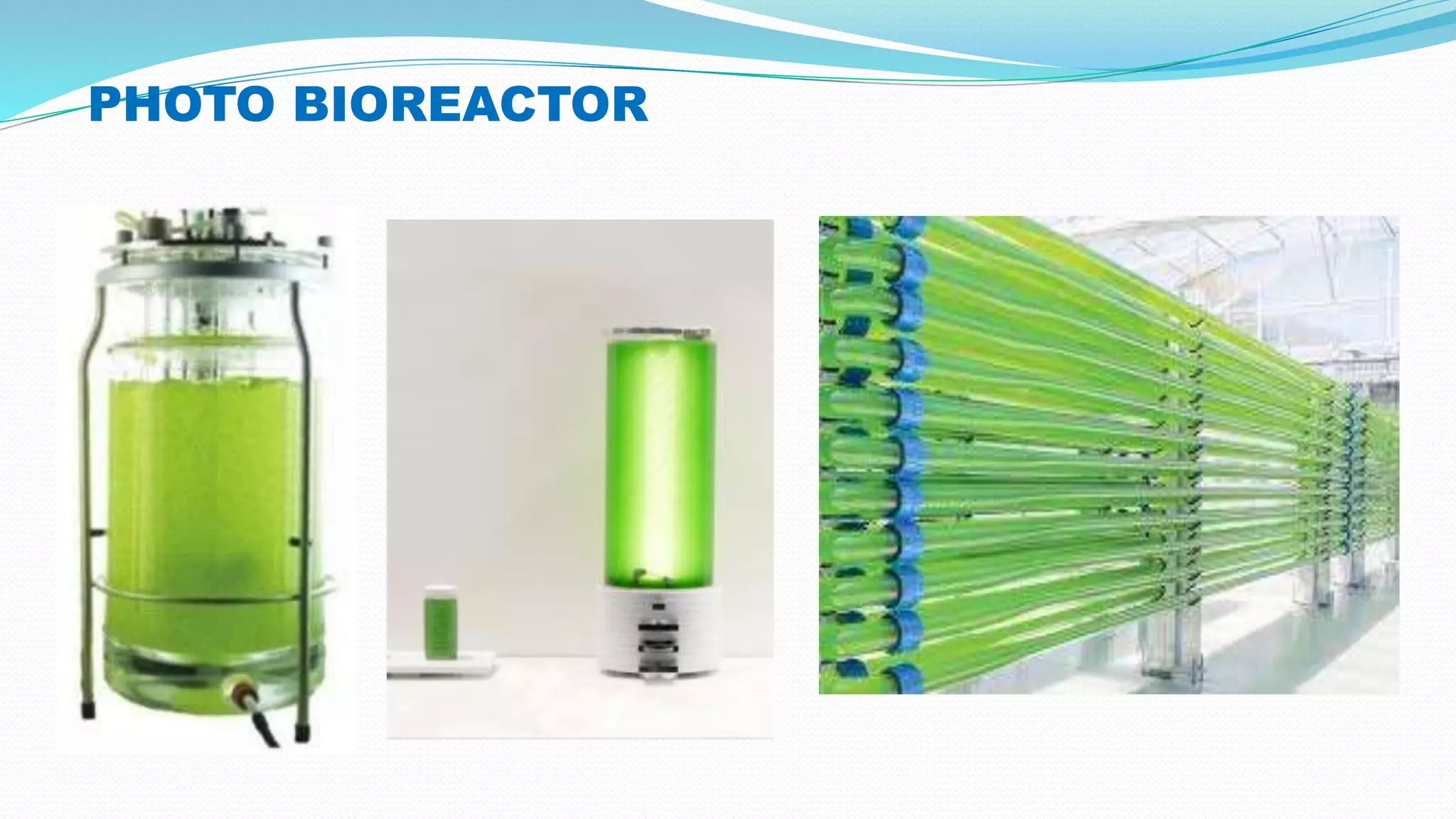 Bioreactor | PPTX