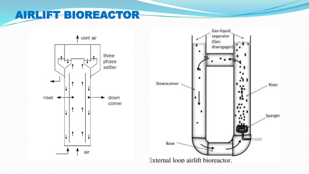 Bioreactor | PPTX | Home Appliances | Home & Garden