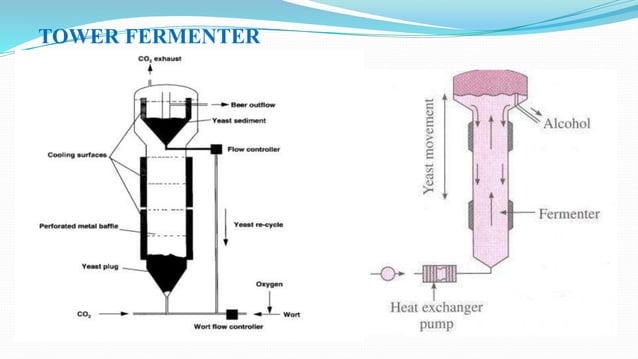 Bioreactor | PPTX | Home Appliances | Home & Garden