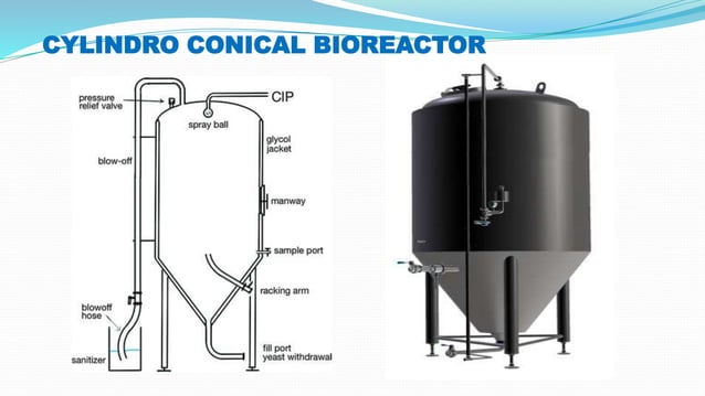 Bioreactor | PPTX | Home Appliances | Home & Garden