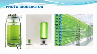 Bioreactor | PPTX