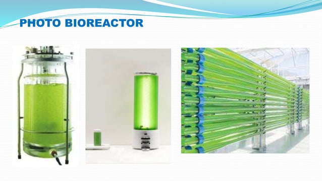 Bioreactor | PPTX | Home Appliances | Home & Garden