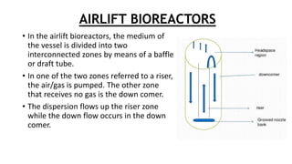 BioReactor.pptx