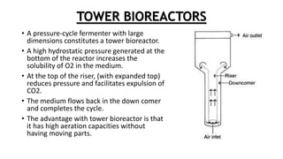 BioReactor.pptx