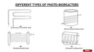 BioReactor.pptx
