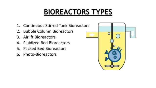 BioReactor.pptx