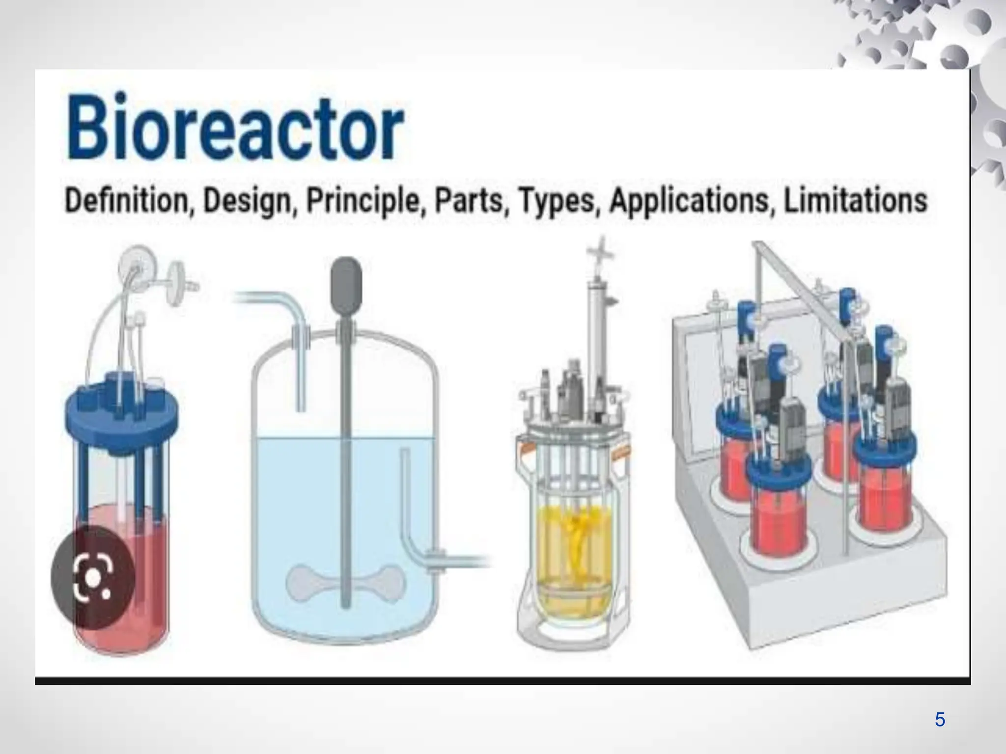 BIOREACTOR kbcibwcnwihwrufhwrcnwrughuercrv | PPTX