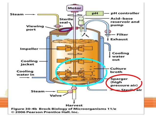 Bioreactor and applications of bioreactors | PPTX | Biotech and ...