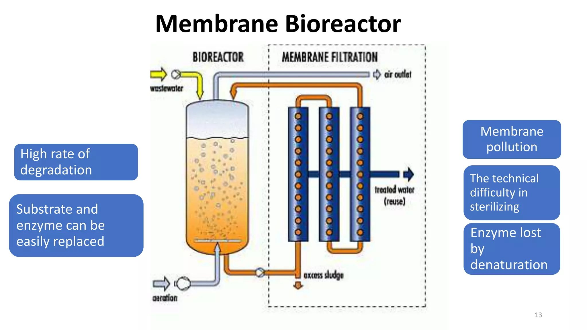 Bioreactor Overview | PPTX