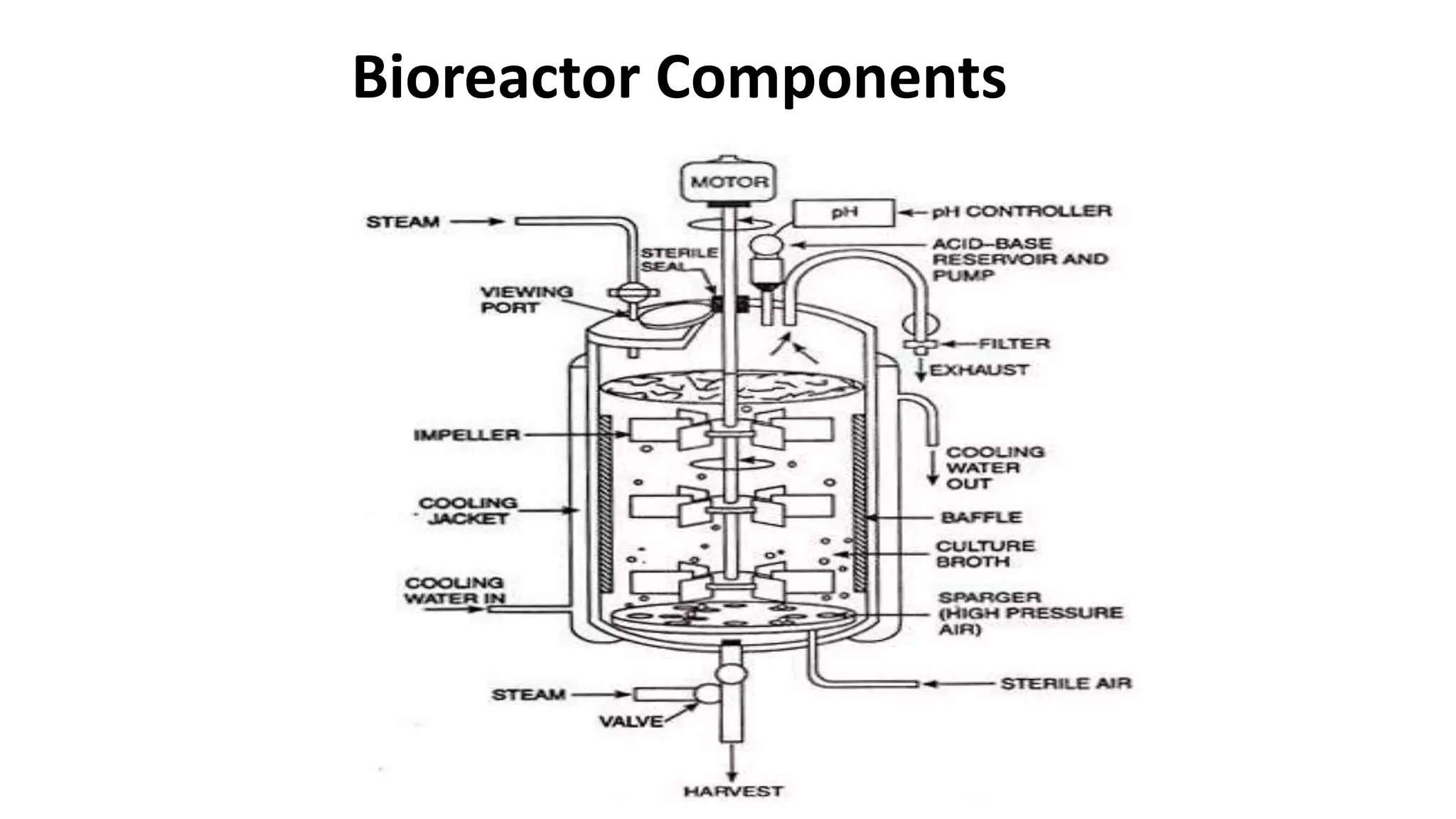 Bioreactor Overview | PPTX