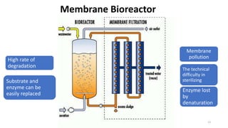 Bioreactor Overview | PPTX | Biotech and Biomedical Industry | Industries